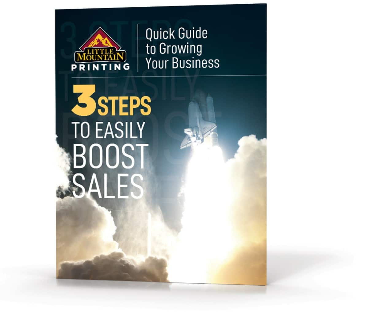 Standard Catalog Sizes and Formats - Little Mountain Printing