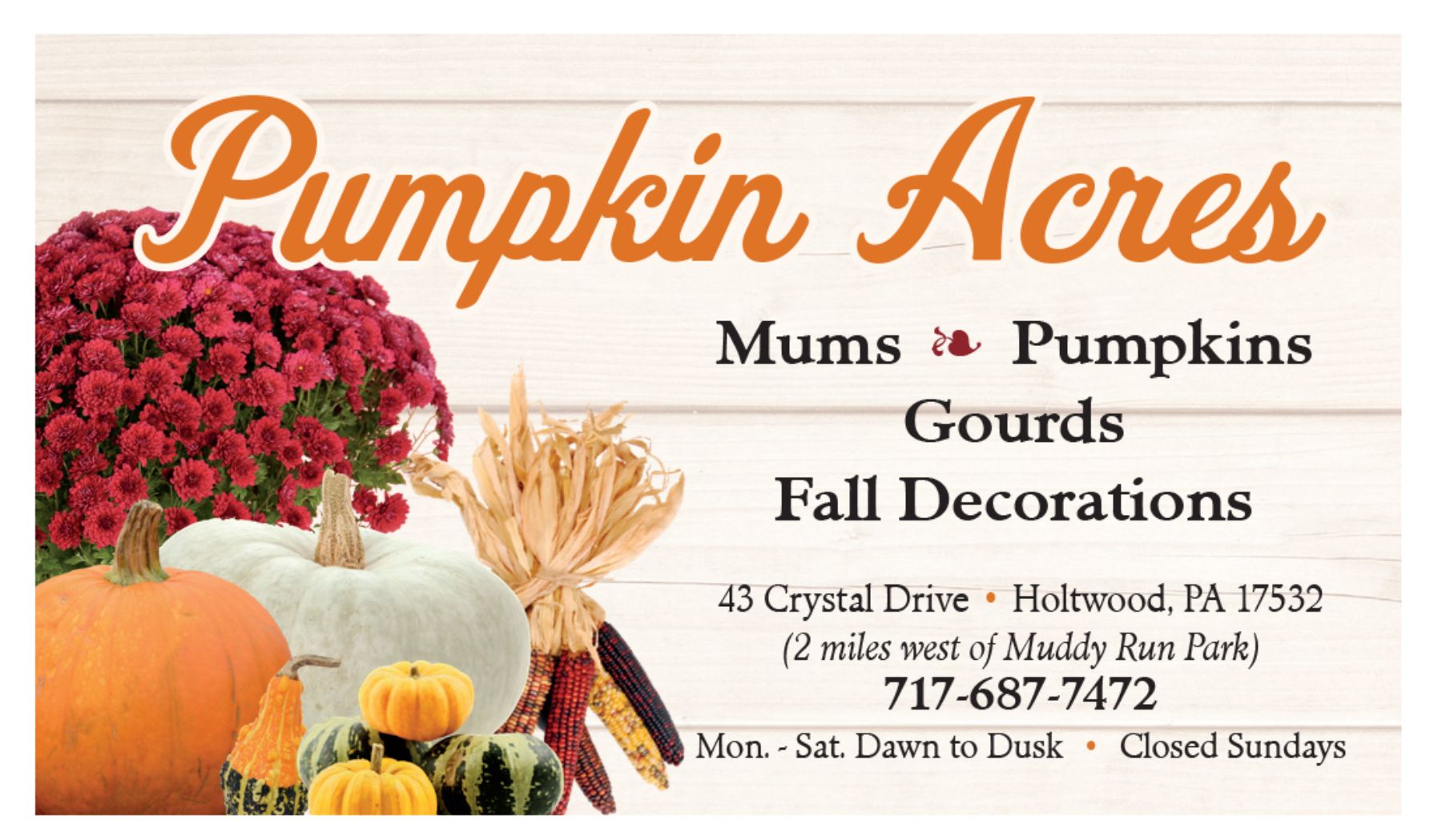 What Makes A Good Business Card? Design Tips and Examples - Little ...